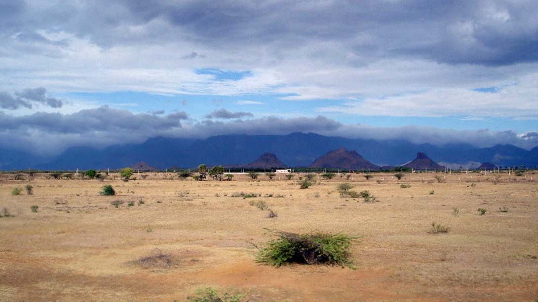 Marusthali – The Desert of Living - Idealism Prevails