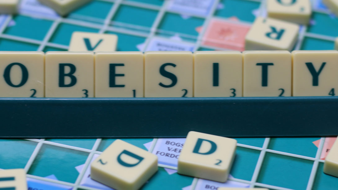 A Holistic Approach To Obesity - Idealism Prevails