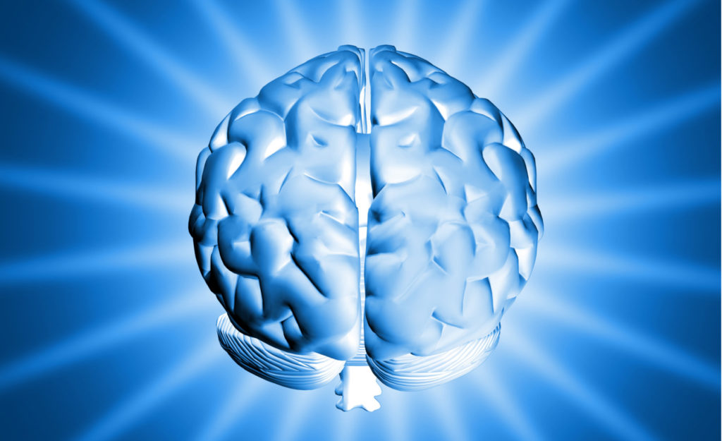 Das Gehirn verstehen und das Selbst kennenlernen - Idealism Prevails