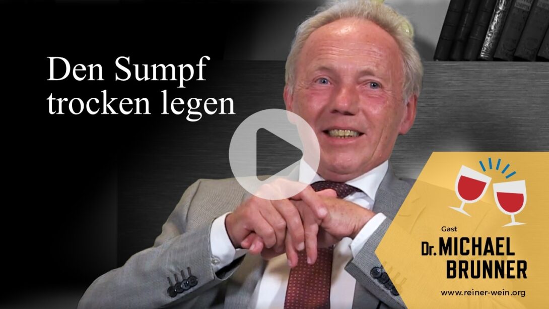 Dr. Michael Brunner – Den Sumpf trocken legen - Idealism Prevails